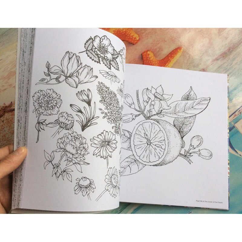 96 pages Wonderful Explore Coloring Books for Adul... – Grandado