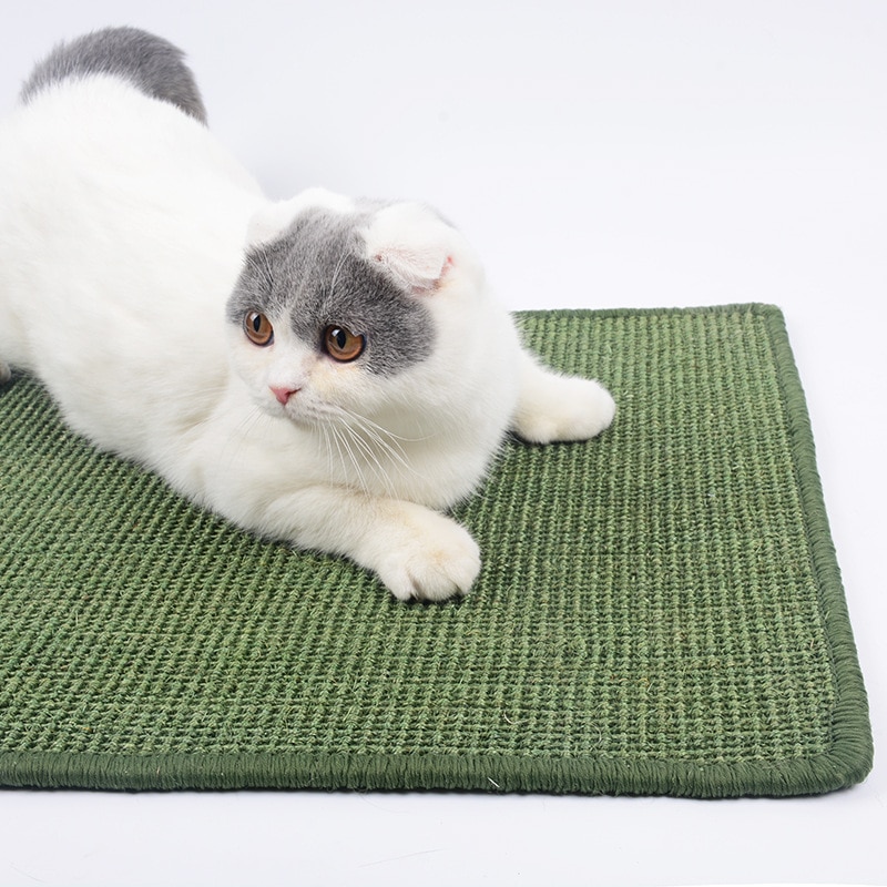 CAWAYI KENNEL Pet Cat Toy Sisal Scraper Board Kitt... – Grandado