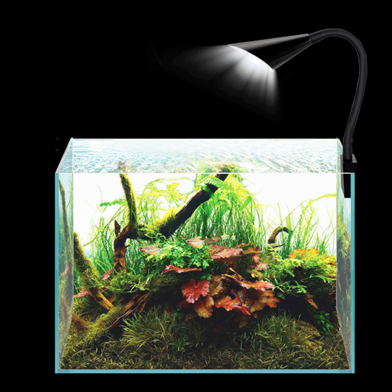 Aquarium LED Light Waterproof Fish Tank Clip Lamp ... – Vicedeal