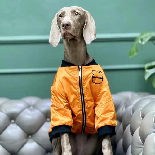 Large Dog Clothes Thicken Warm Winter Dog Coats La... – Grandado