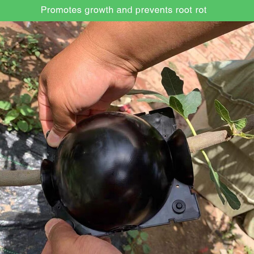 1pcs High Pressure Root Control Device Plant Graft... – Grandado