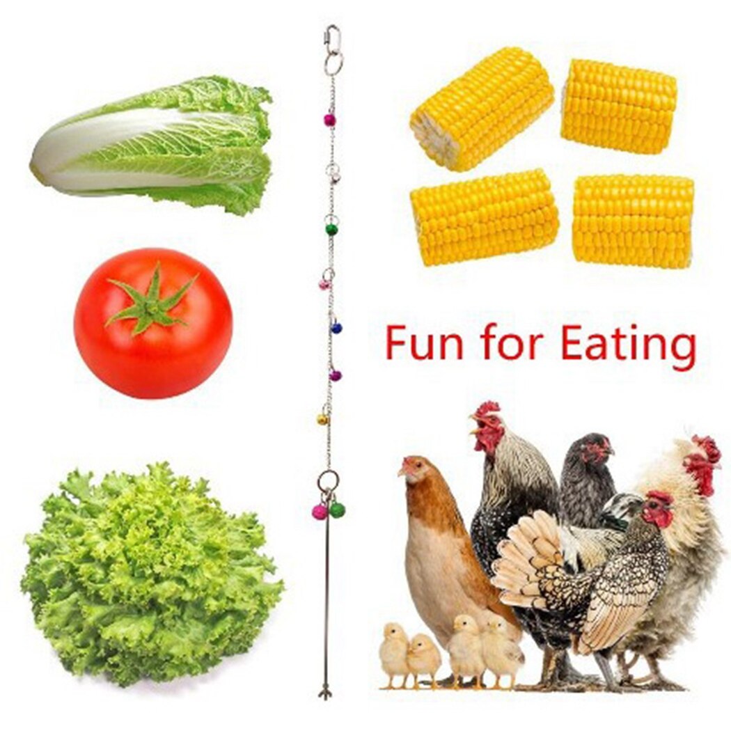 1Pcs Rvs Kip Groenten Spies Fruit Houder Voor Kipp... – Vicedeal