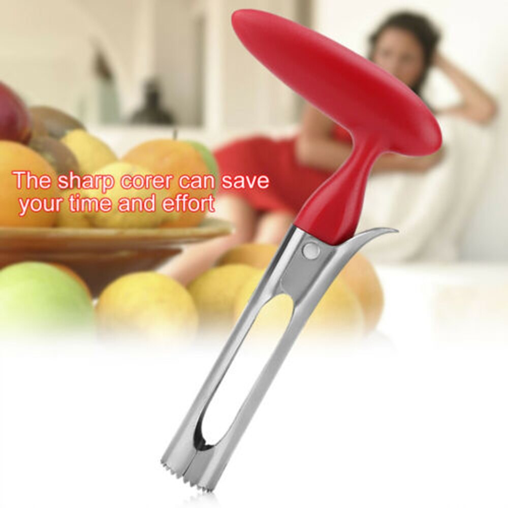 Kitchen Stainless Steel Twist Core Seed Remover Fr... – Grandado