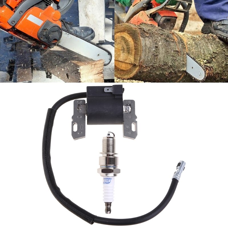 595304 Ignition Coil Magneto Armature for Brigg an... – Grandado