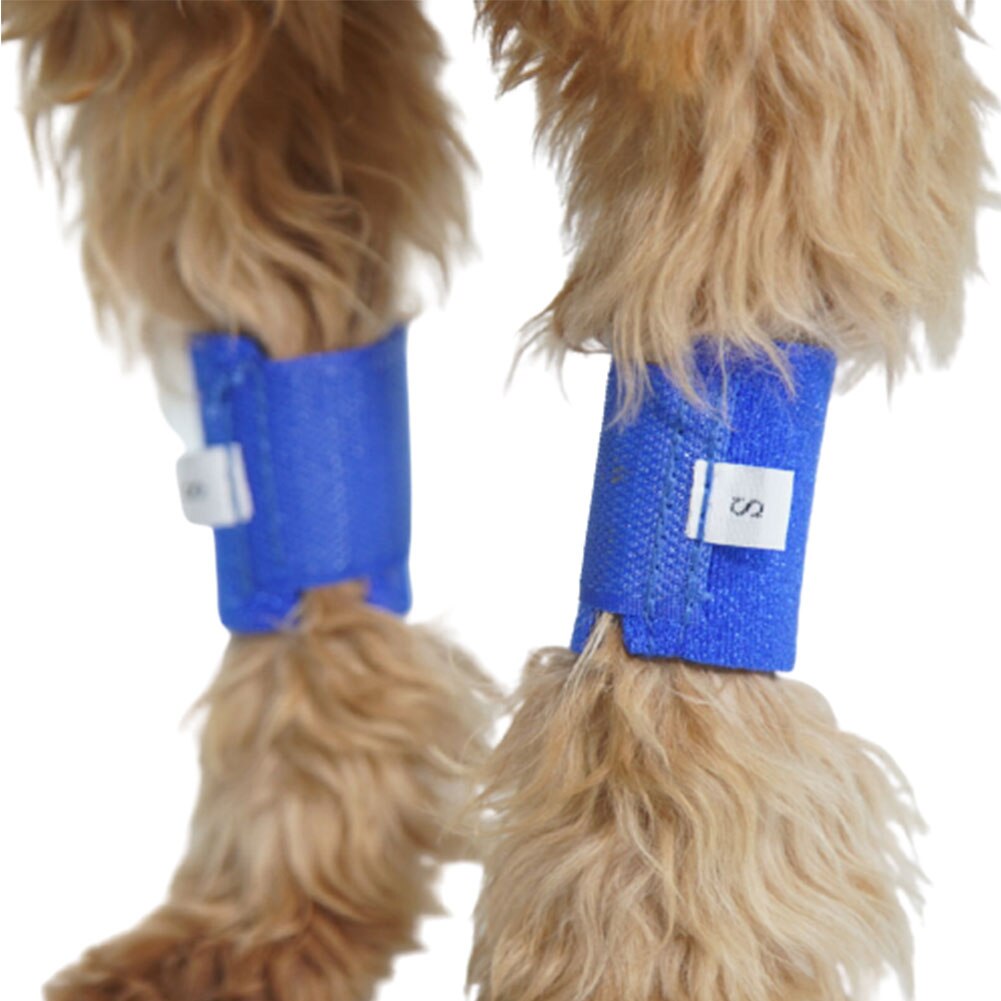 1Pair Indoor Dog Polyester Foots Cover Knee Protec... – Grandado