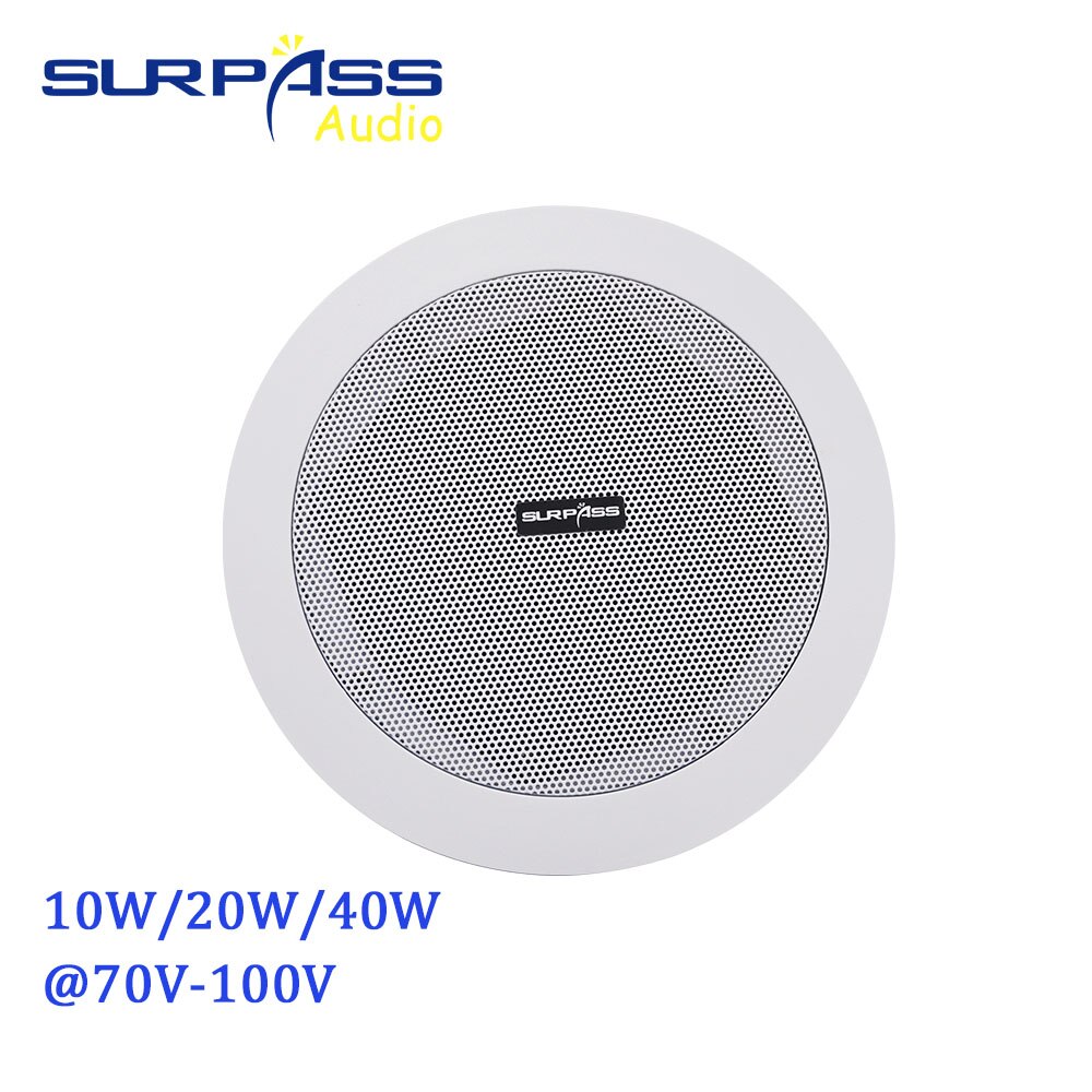 8" Passive Coxial Ceiling Speaker 40W Indoor ... – Grandado