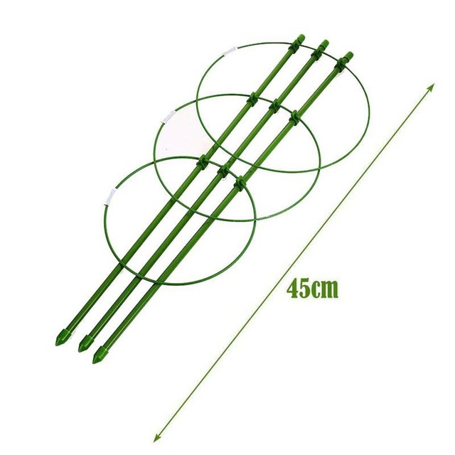 Garden Bonsai Support Stake Stander Single Stem Sh... – Grandado