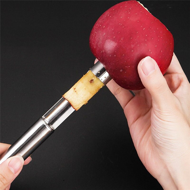 Stainless Steel Twist Fruit Core Seed Remover Hawt... – Grandado