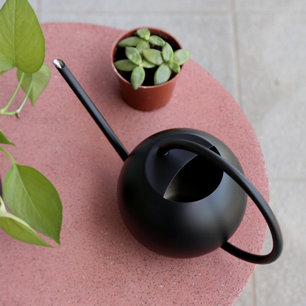 Watering Can Indoor for Watering Flower Bonsai Suc... – Grandado
