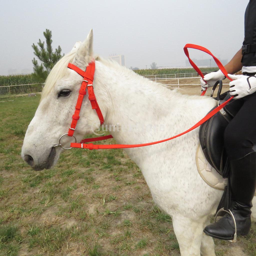 Equestrian Sports Horse Riding Bridle + Reins & Se... – Grandado