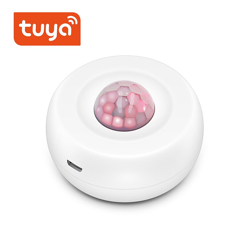 Tuya WiFi Motion PIR Sensor Detector USB charging ... – Grandado