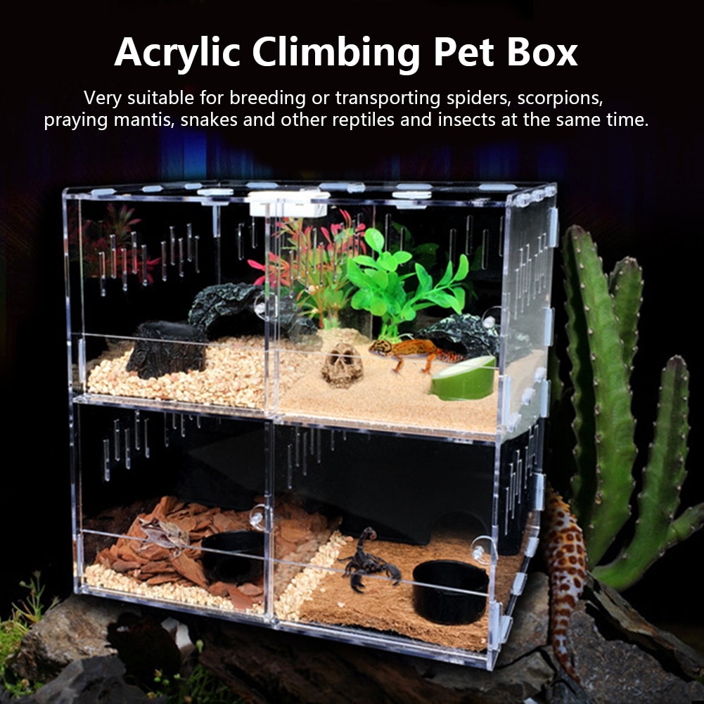 Reptile Feeding Box Multi-crawl Climbing Pet Box A... – Grandado