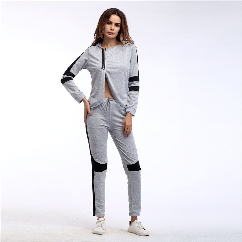 Tracksuit Women Sweat Suits Autumn Long Sleeve Irr... – Vicedeal