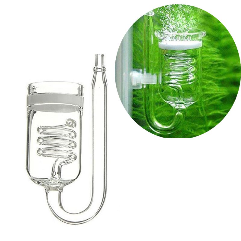 Screw-shaped Glass CO2 Diffuser For Aquarium Fish ... – Grandado