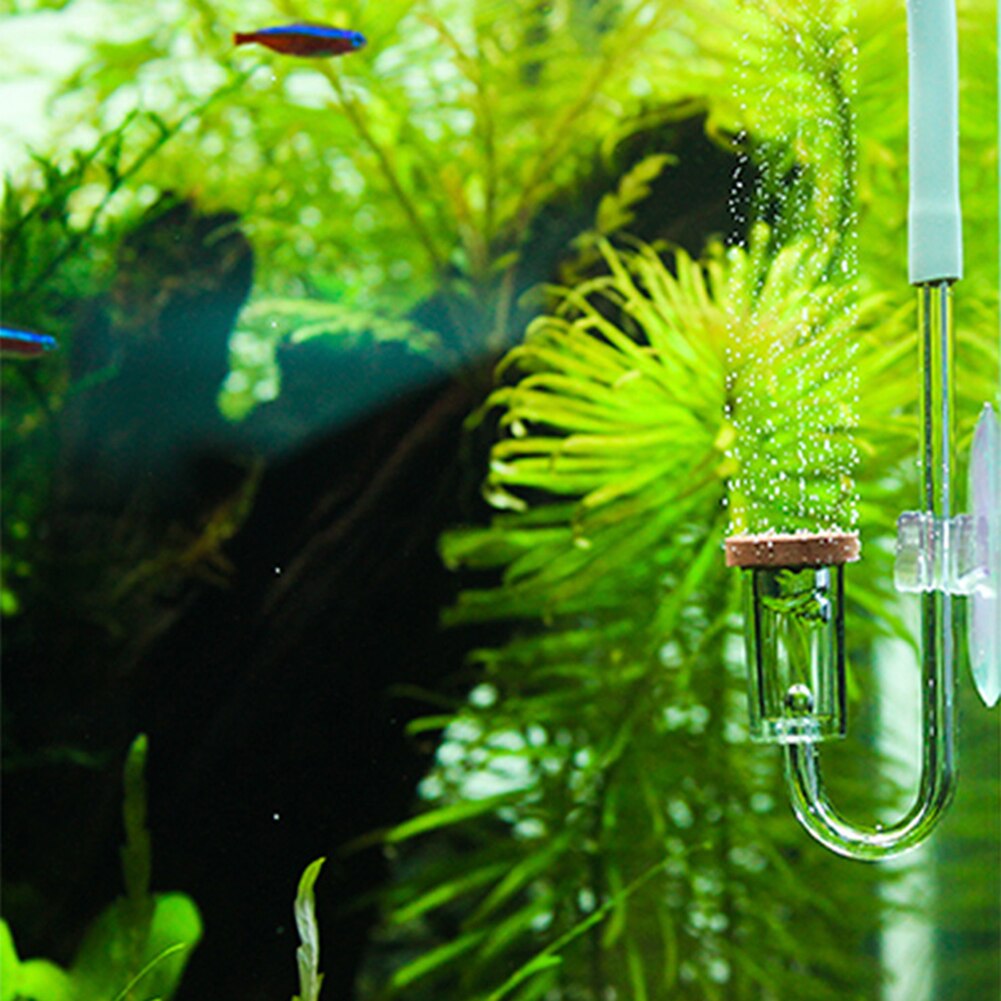 Aquarium CO2 Refiner Spiral Fish Tank Water Glass ... – Vicedeal