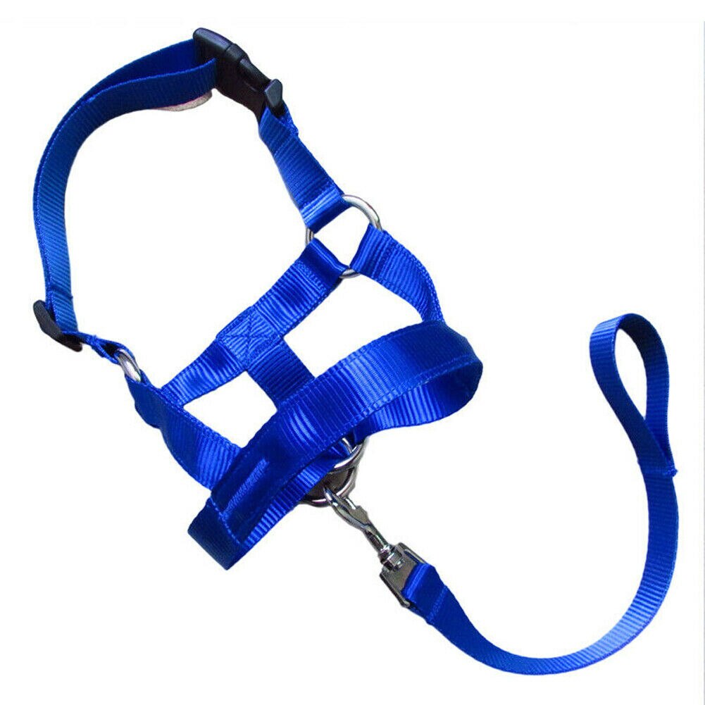 Dogalter Pet Dog Collars Halter Halti Training Hea... – Grandado
