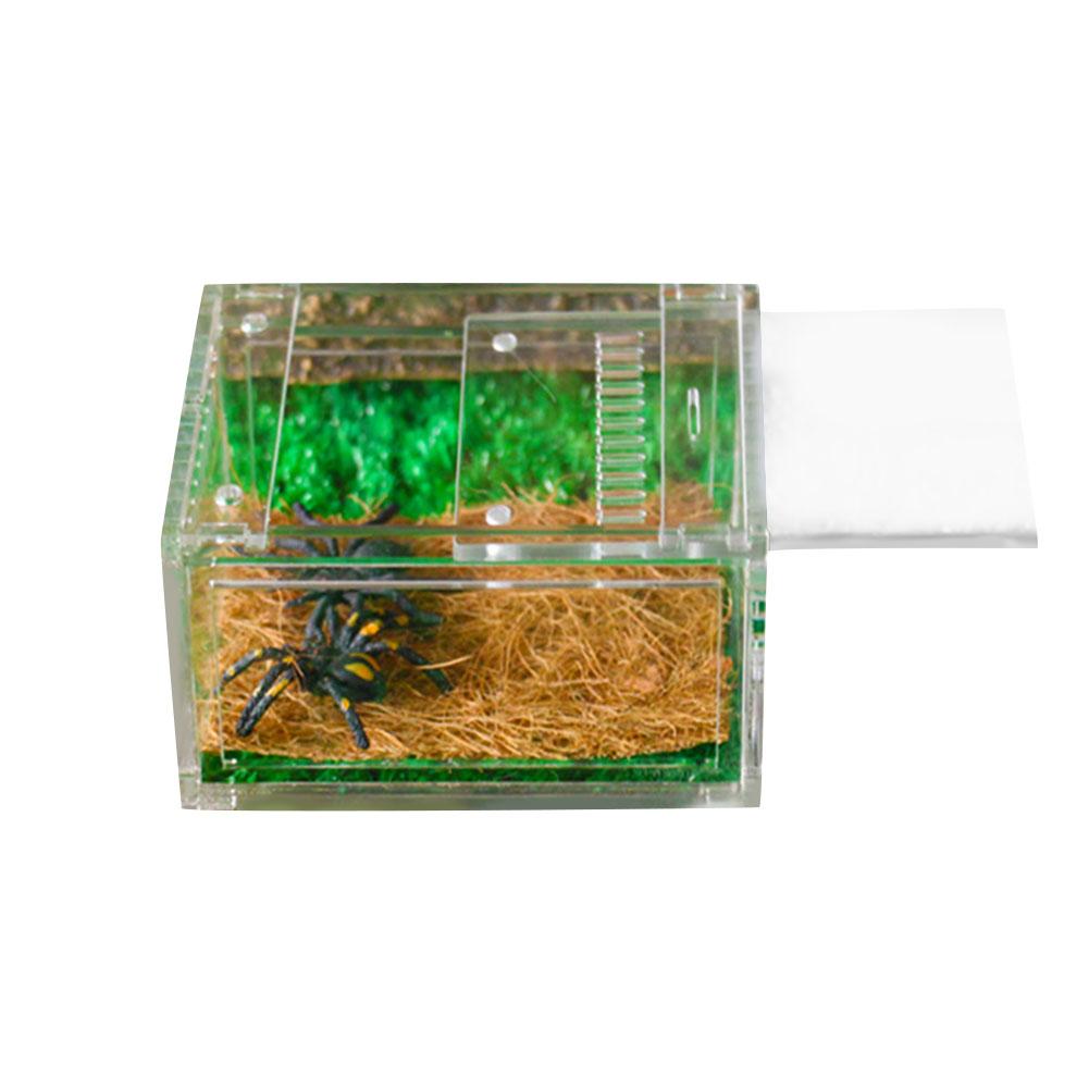 Reptile Tank Insect Spiders Tortoise Lizard Acryli... – Vicedeal