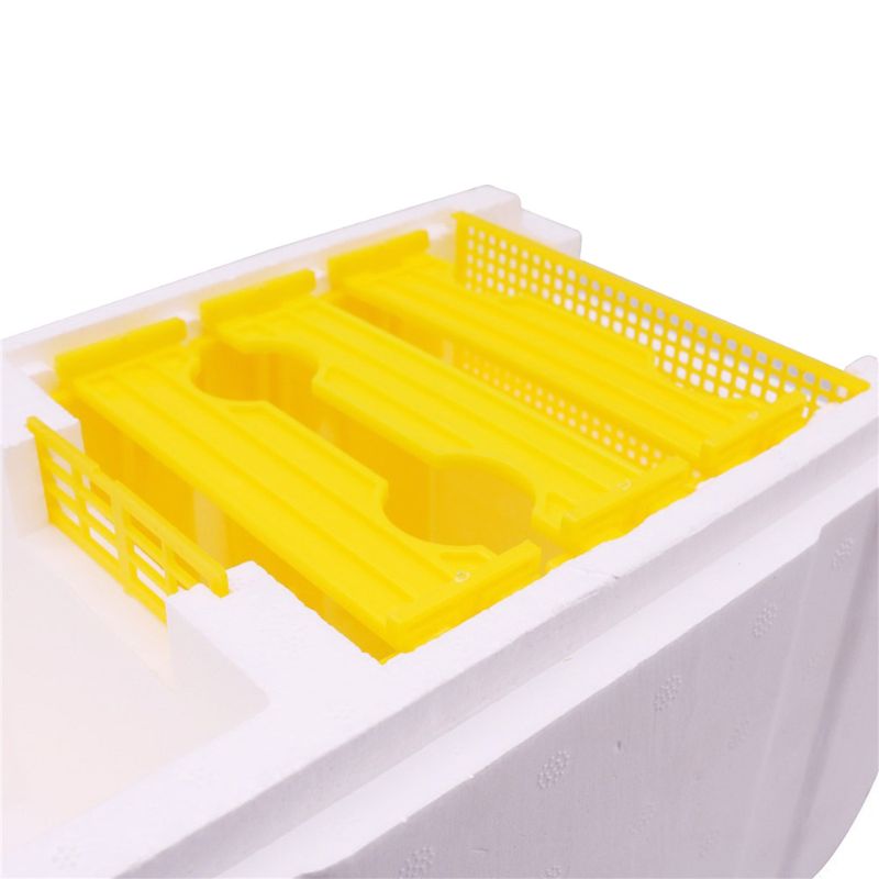 Bee Hive Beekeeping King Box Pollination Box Foam ... – Grandado