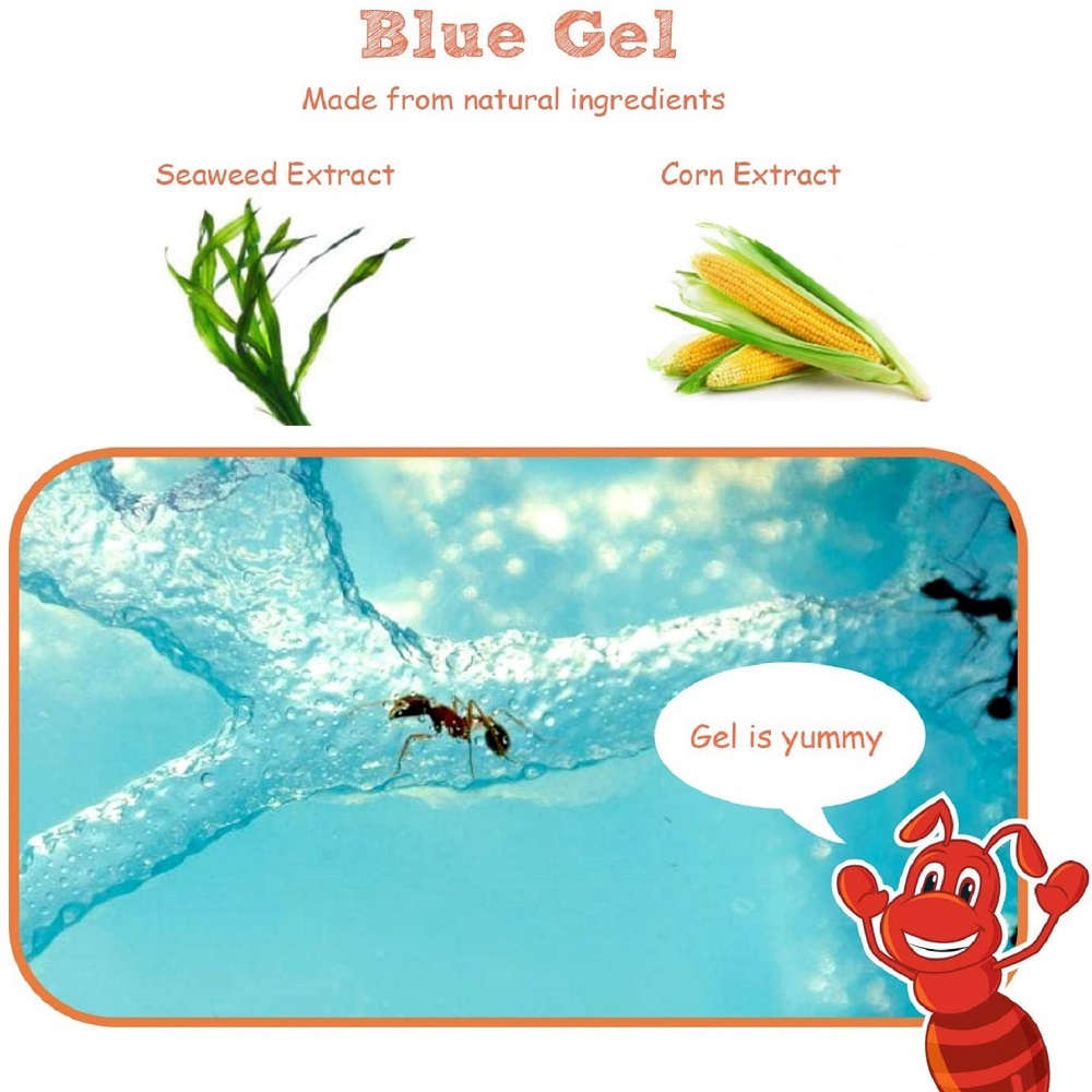 Ant Farm Colorful Gel Workshop Children'S Diy ... – Grandado