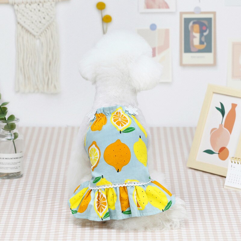 Pet Kleding Voor Kleine Honden Stijl Hond Kleding ... – Vicedeal