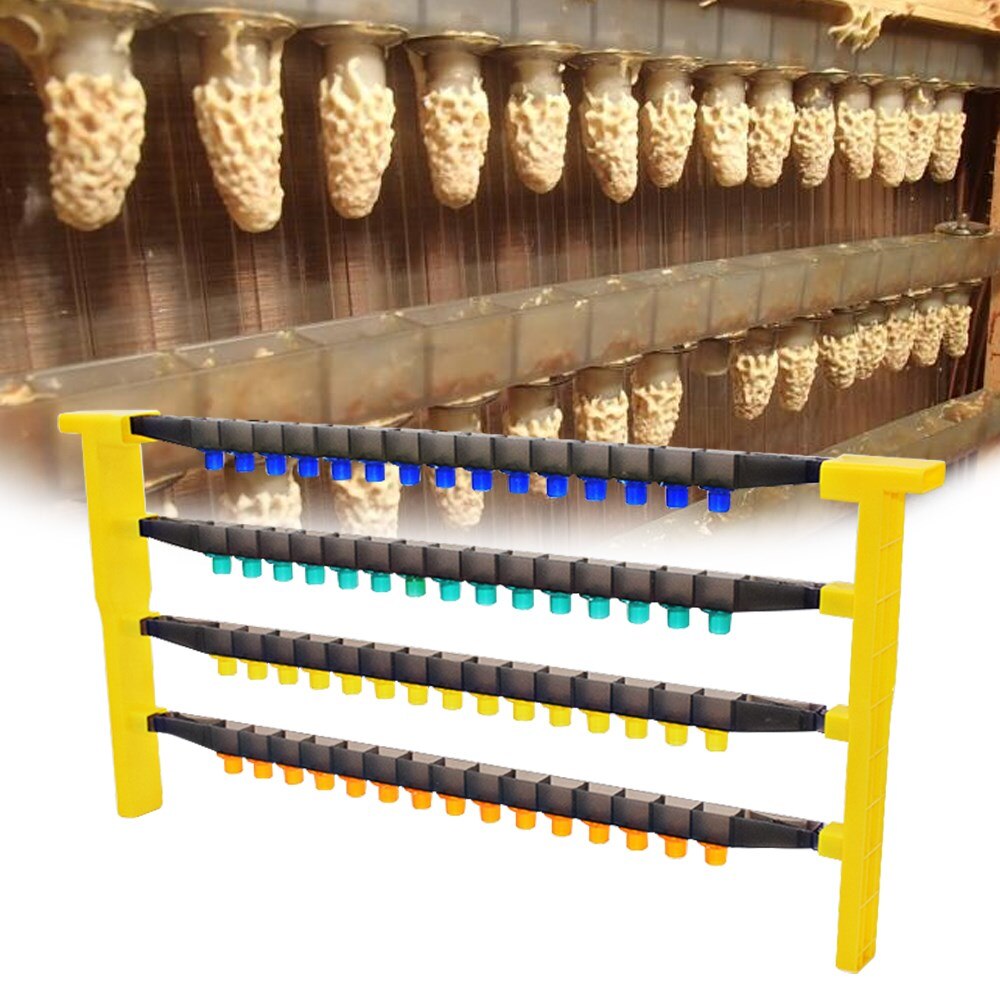 Beekeeping Queen Rearing System Plastic Queen Rear... – Grandado