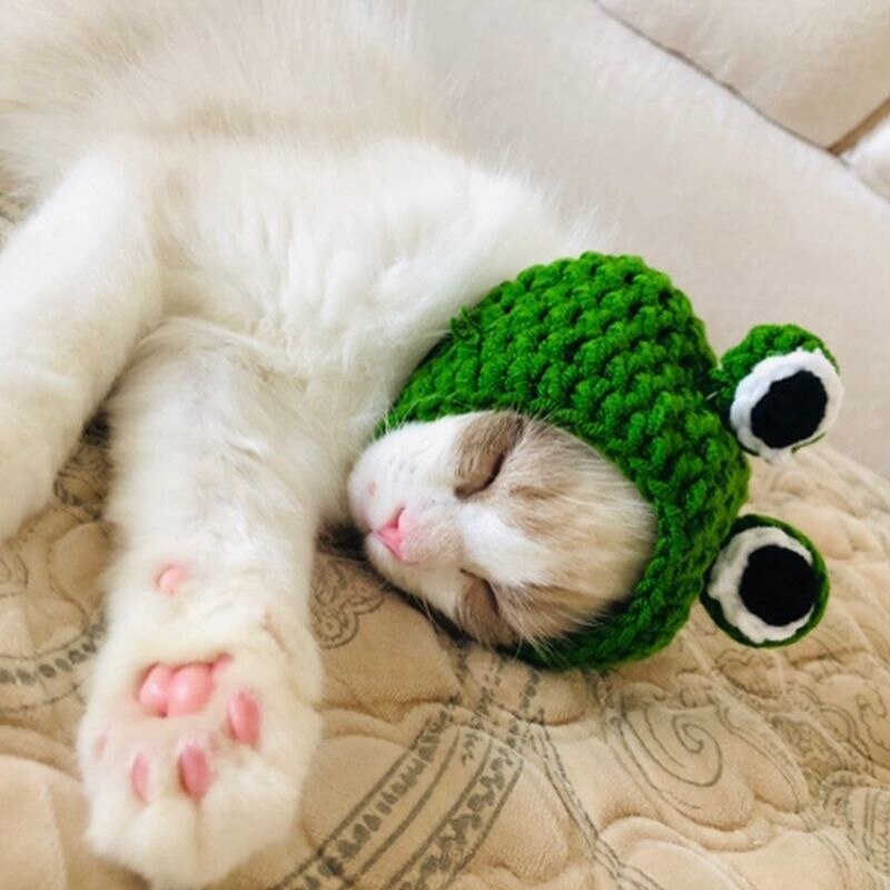 Pet Knitted Handmade Hat for Cats Dogs Cute Frog S... – Grandado