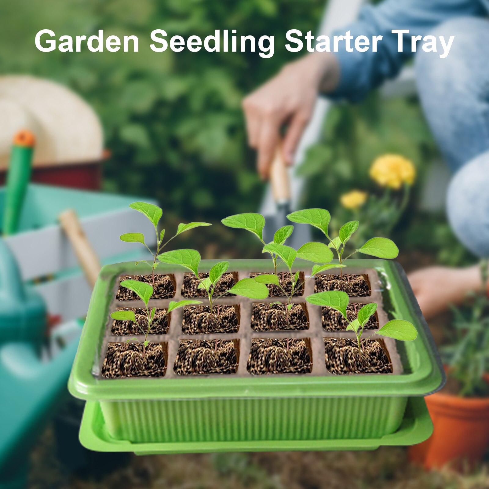 Seed Starter Tray Kit Plant Germination Kit Seedli... – Grandado