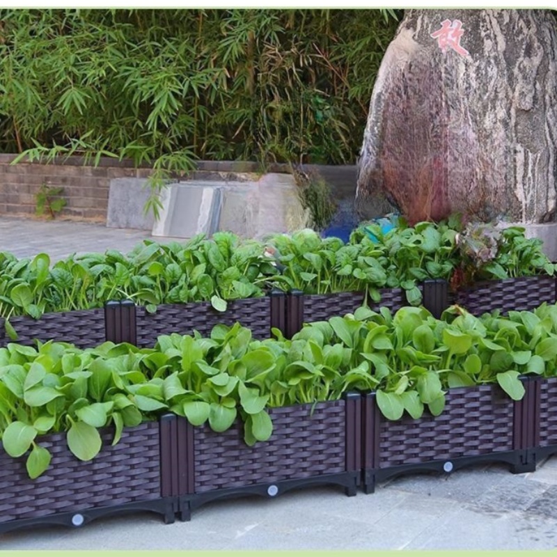 Balcony Veg Planting Box Vegetable Pots Thickened ... – Grandado