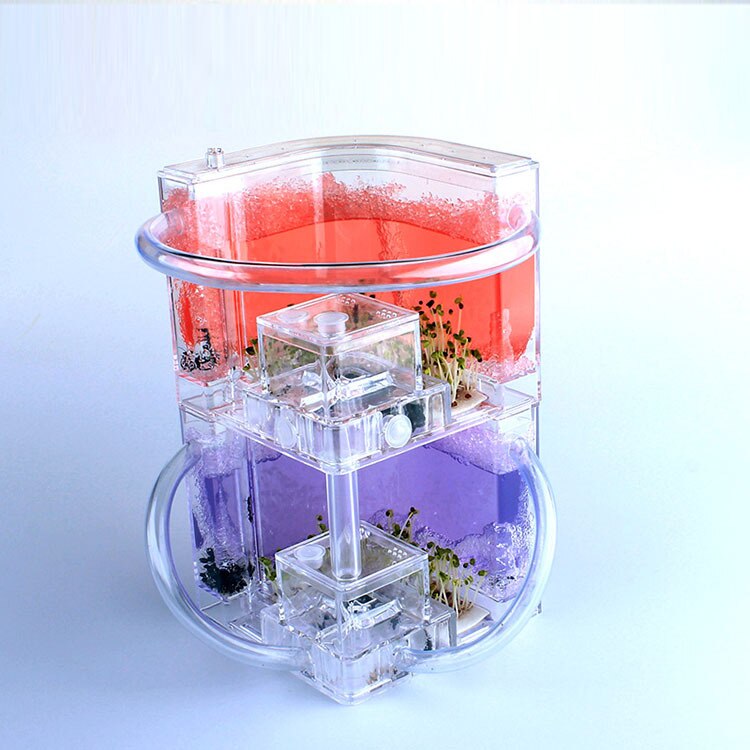 Double-layer Ant Cage Acrylic Ant Workshop Undergr... – Vicedeal