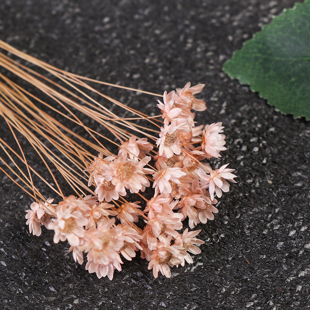 30Pcs Mini Daisy Kleine Ster Bloemen Ornamenten Ge... – Vicedeal