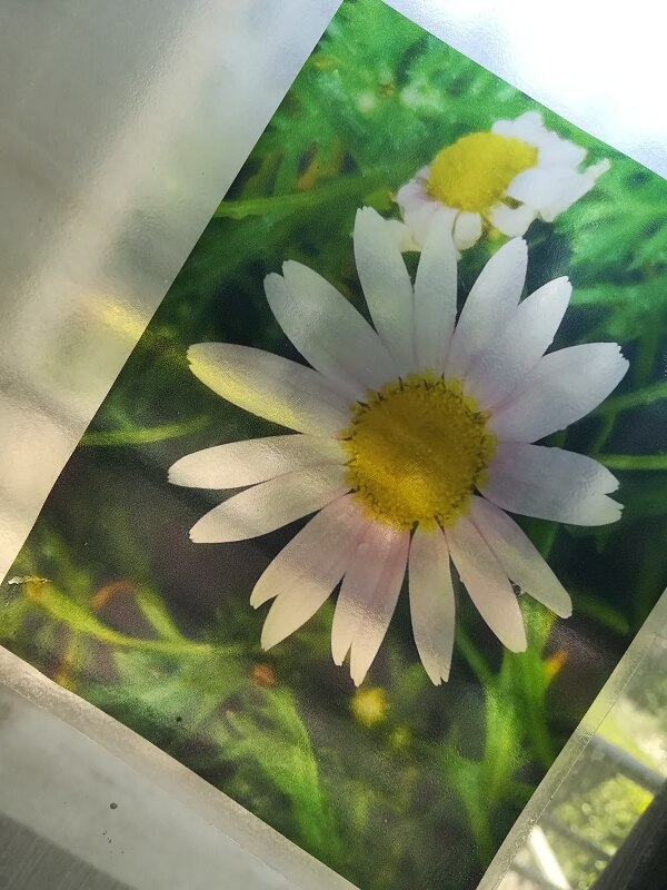 25 sheets paper tags A4 Transparent Self Adhesive ... – Vicedeal