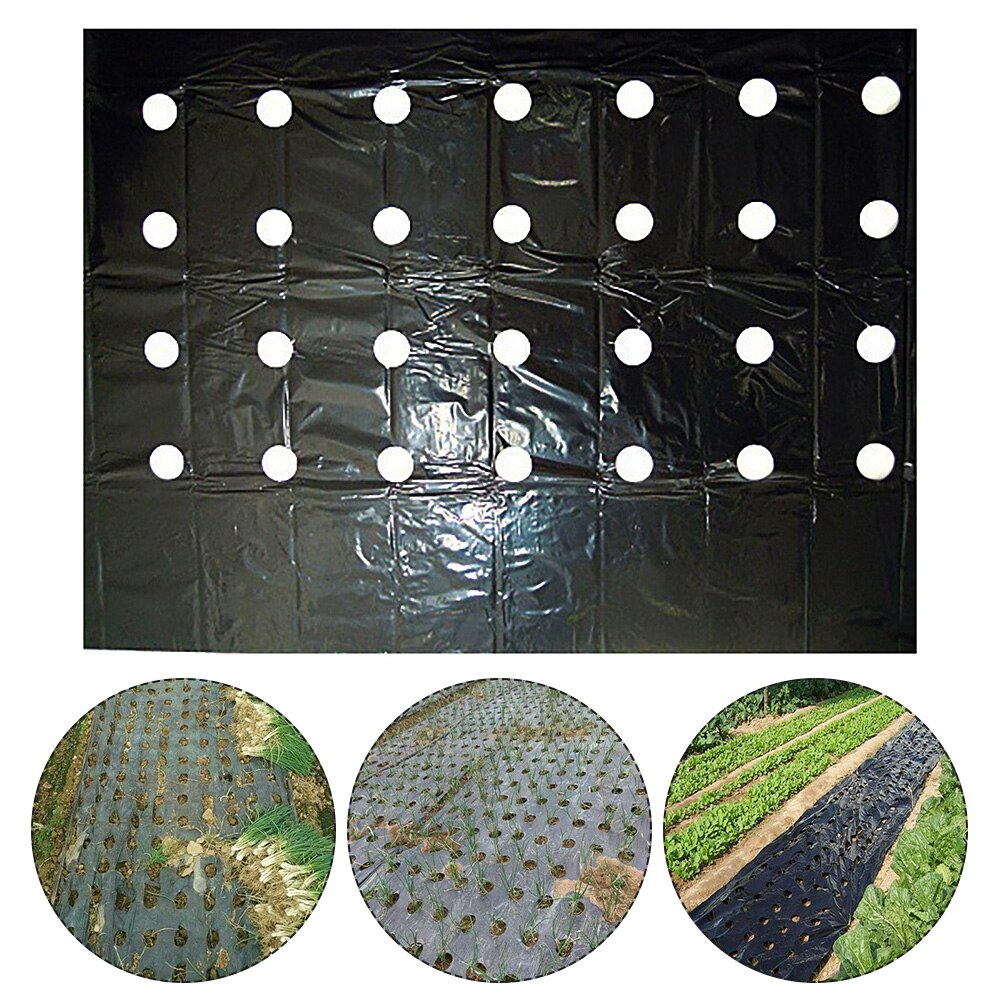 95cm*10m Black Film Vegetable Garden Vegetable See... – Grandado
