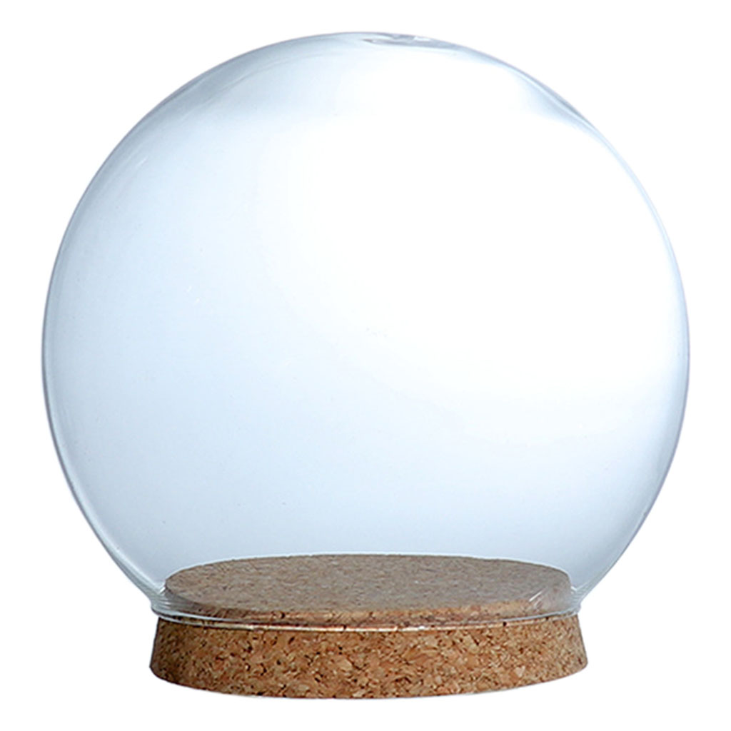 Glass Cloche Bell Jar Dome Flower Preservation Vas... – Grandado