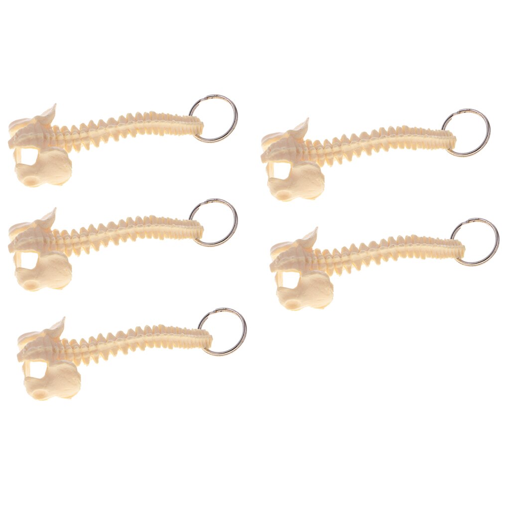 Mini Handcrafted Human Spine Skeleton Model Keycha... – Grandado