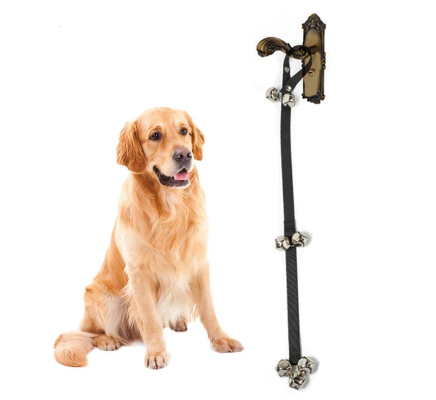 Pet Dog LED Flash Light Toys Colorful Blinker Dog ... – Grandado