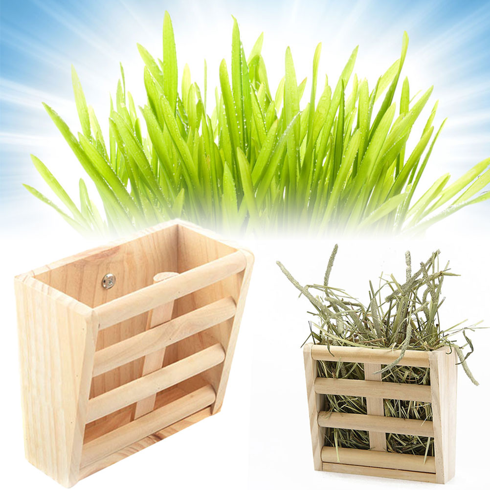 Small Animals Cage Rabbit Hay Feeder Rack Natural ... – Vicedeal