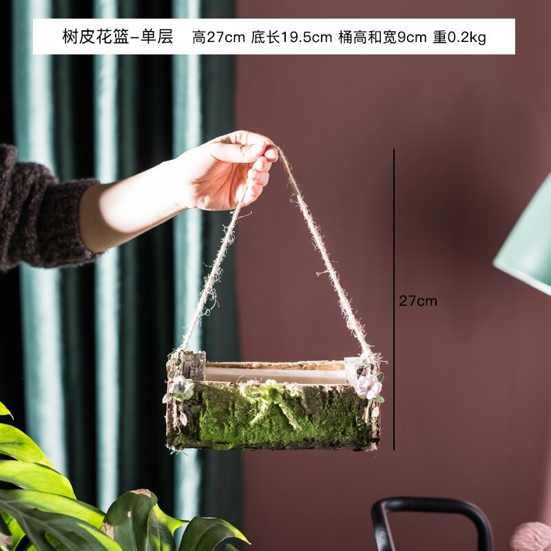 Luonnollinen kuori roikkuu kukkaruukku seinämaljak... – Grandado