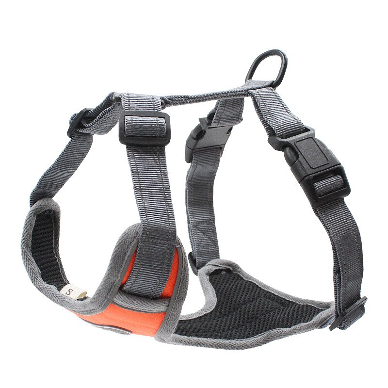 Dog Harness Explosion Proof Golden Retriever Samoy... – Grandado