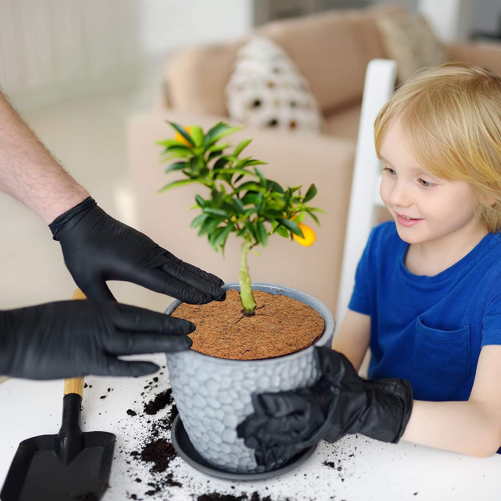 Planter Disc Indoor Outdoor Flower Pot 30cm Balcon... – Grandado