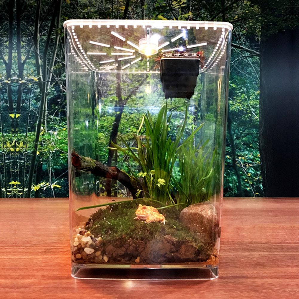 Reptile Tank Insect Spiders Tortoise Lizard Acryli... – Grandado