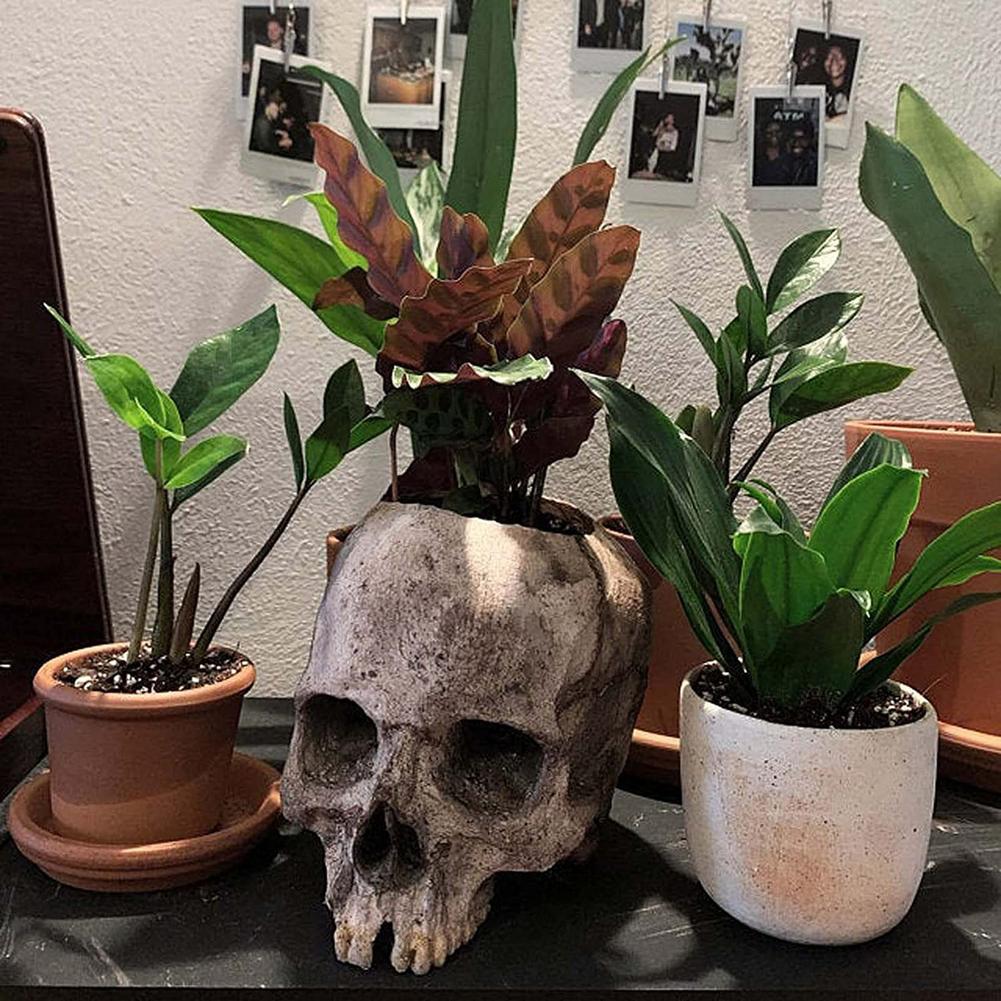 Skull Planter Pot Halloween Room Decor Skeleton He... – Grandado