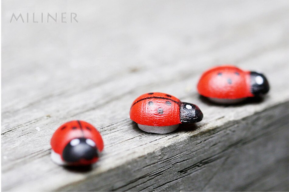100Pcs/pack Wooden Ladybird Ladybug Sticker Childr... – Grandado