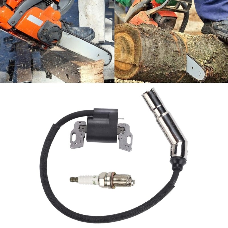 595304 Ignition Coil Magneto Armature for 795315 5... – Grandado