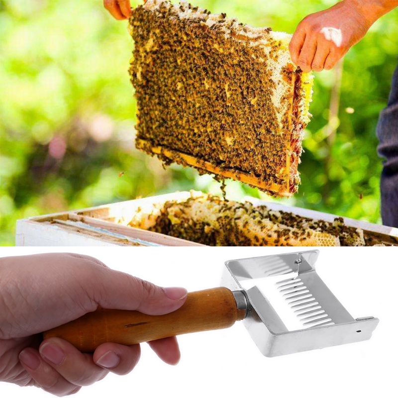 Beekeeping Tool Apiculture Equipment Uncapping for... – Grandado