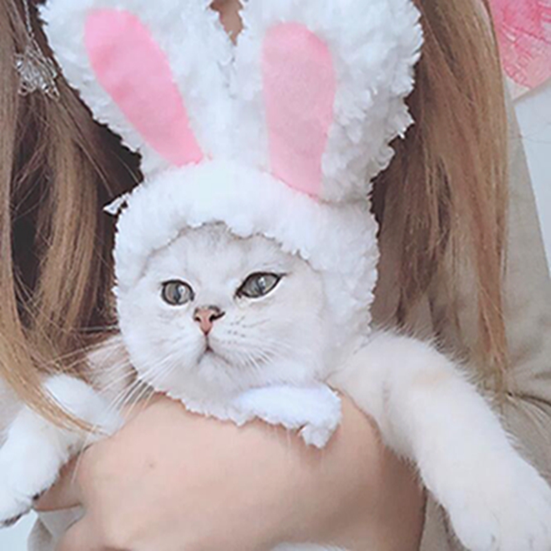 Søt katt lue hodeplagg katt leke morsom kjæledyr c... – Vicedeal