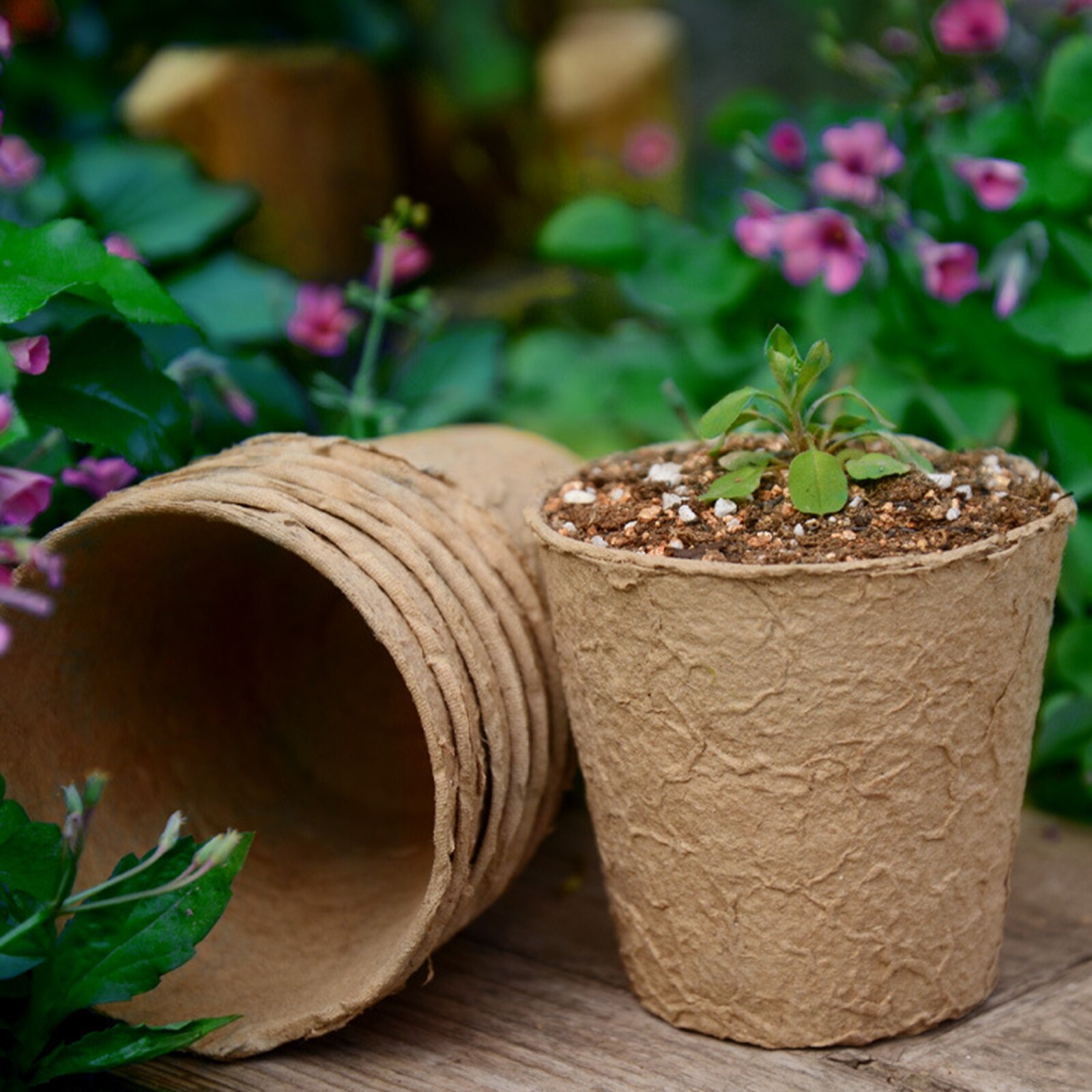 25Pcs Round Biodegradable Paper Pulp Peat Pots Pla... – Grandado