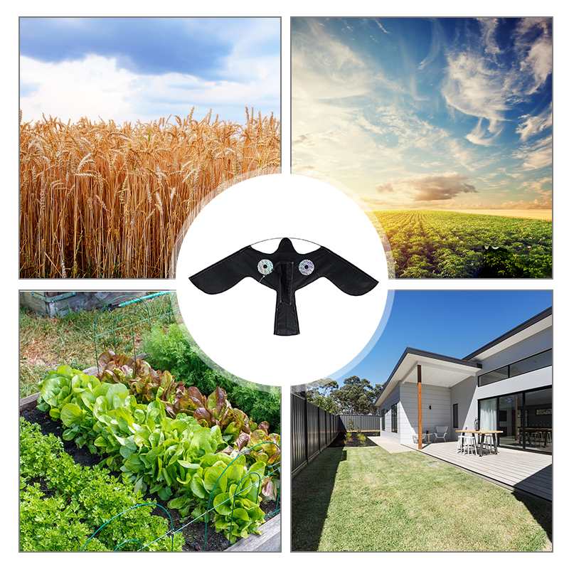 Emulation Hawk Drive Bird Flying Kite Nylon Outdoo... – Grandado