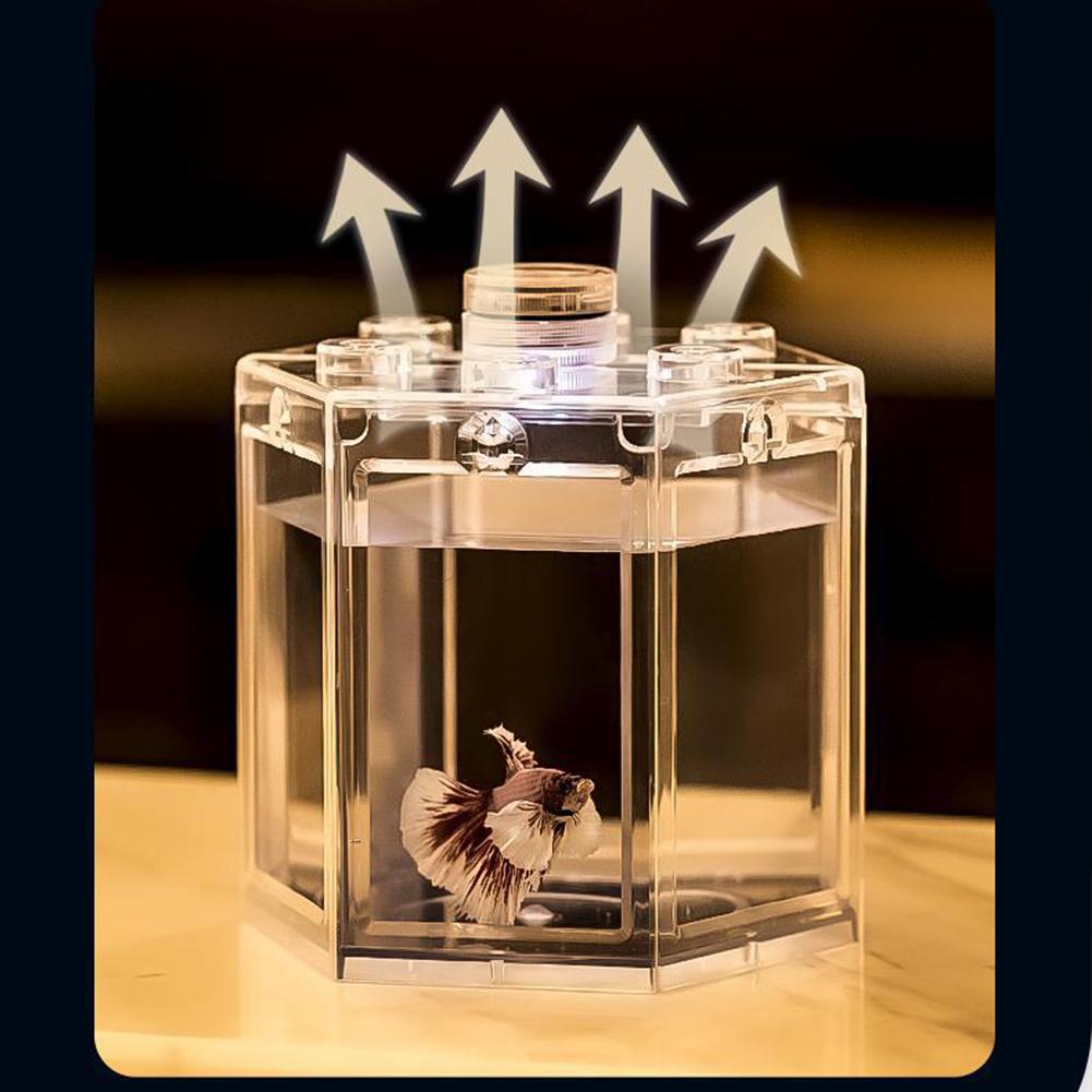 1Pc Kleine Aquarium Acryl Ecologische Tank Landsch... – Vicedeal