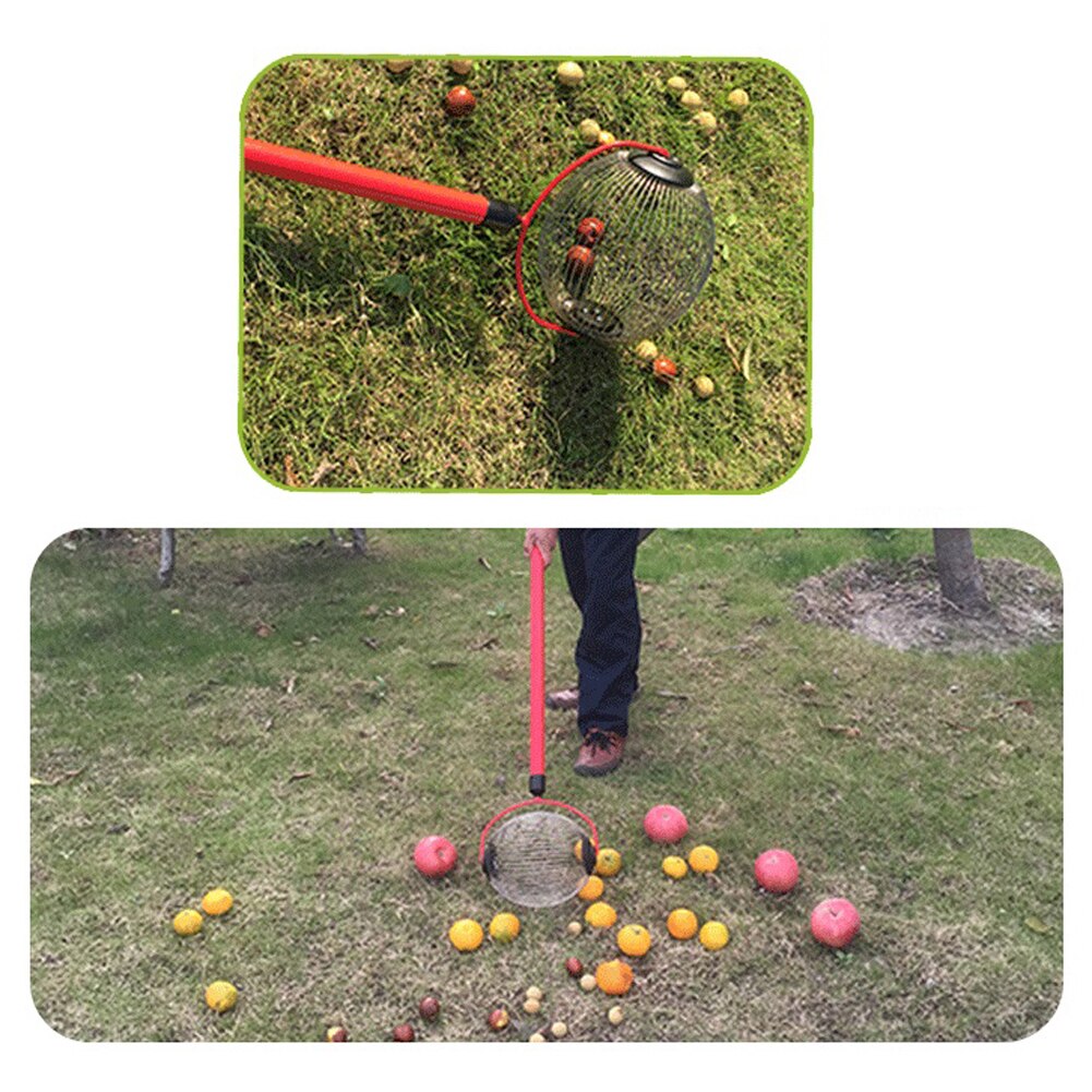 Walnuts Chestnuts Harvester Roller Nut Collector R... – Vicedeal