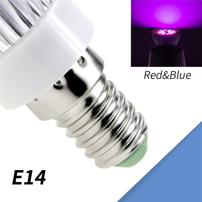 Phytolamp Led Grow Light E14 Fito Led 220V Gloeila... – Grandado